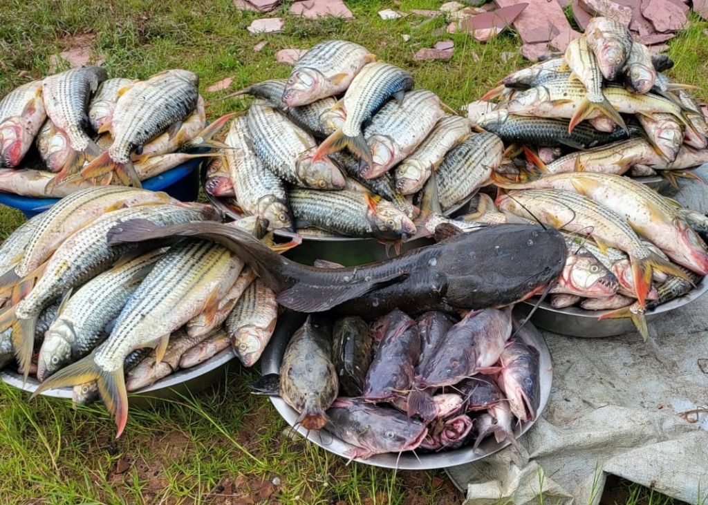 A quand l’achat des bateaux de pêche pour la RDC